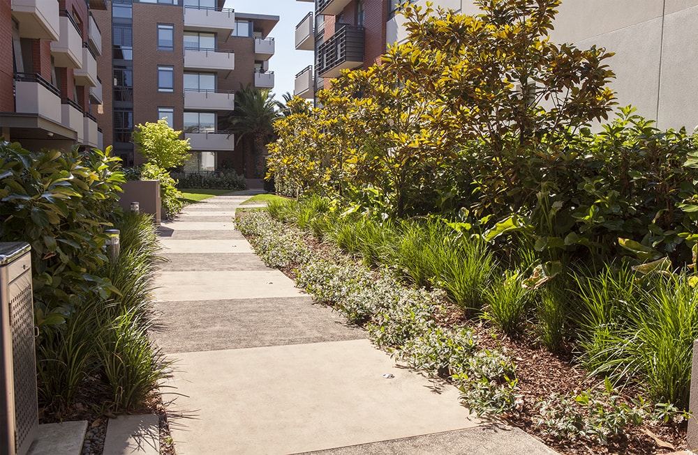 Caulfield Village - Australian Native Landscapes (ANL)