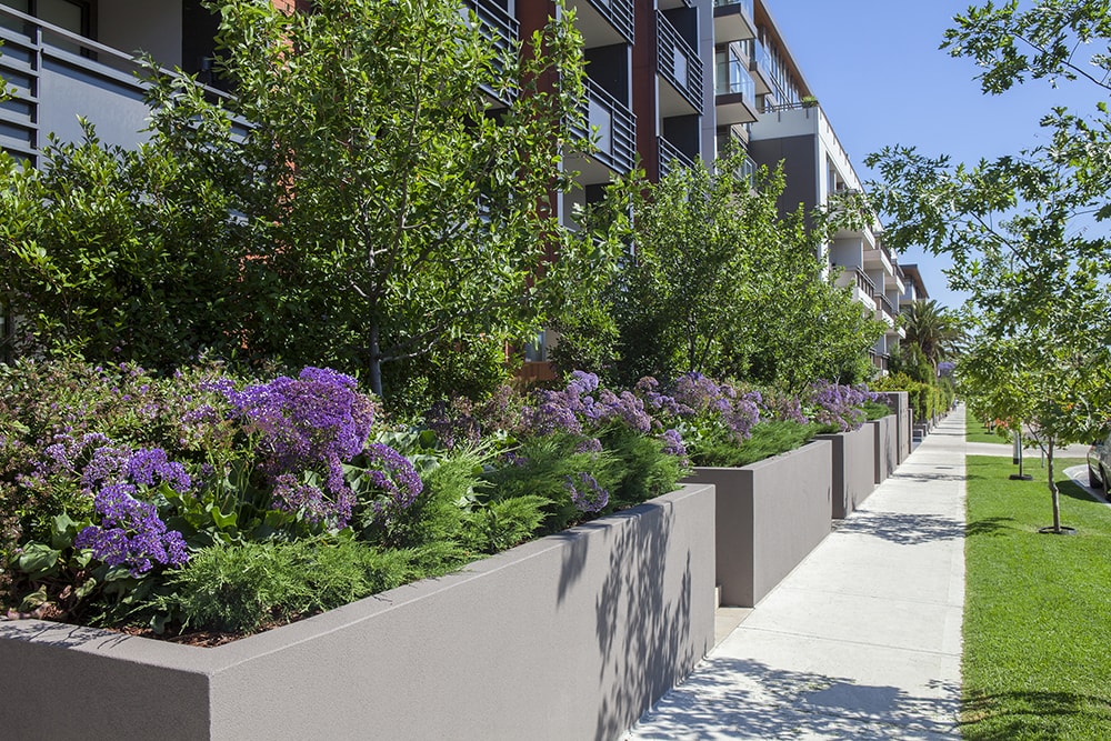 Caulfield Village - Australian Native Landscapes (ANL)