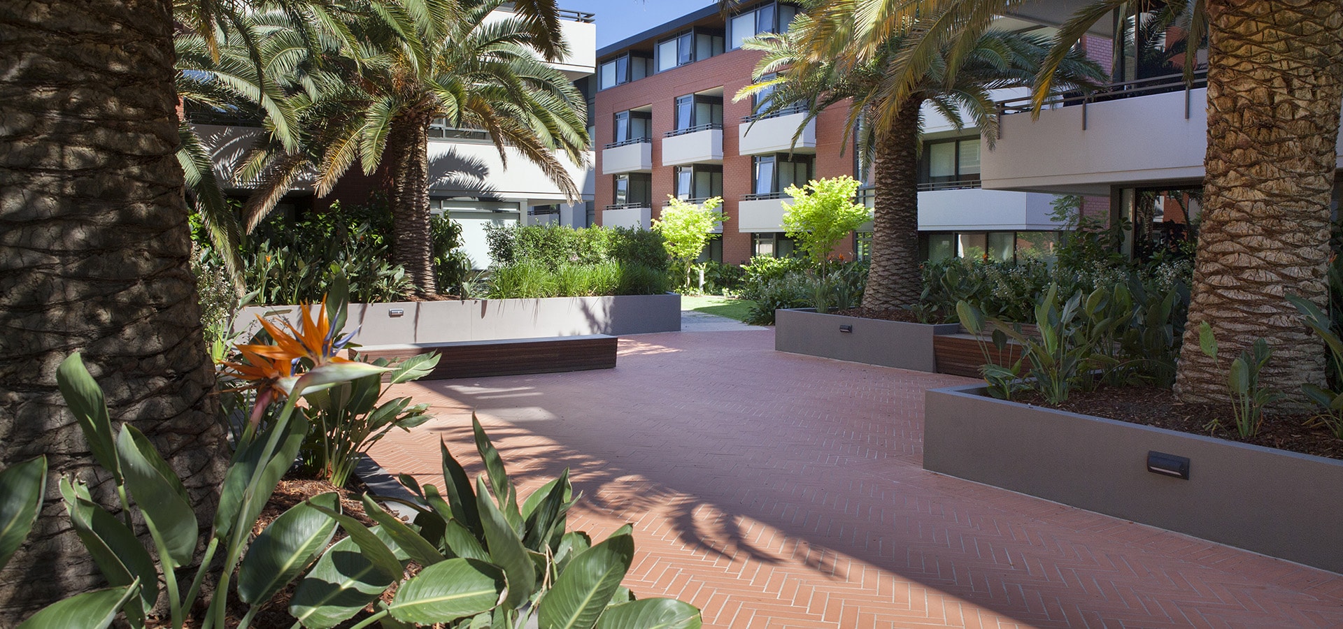 Caulfield Village - Australian Native Landscapes (ANL)