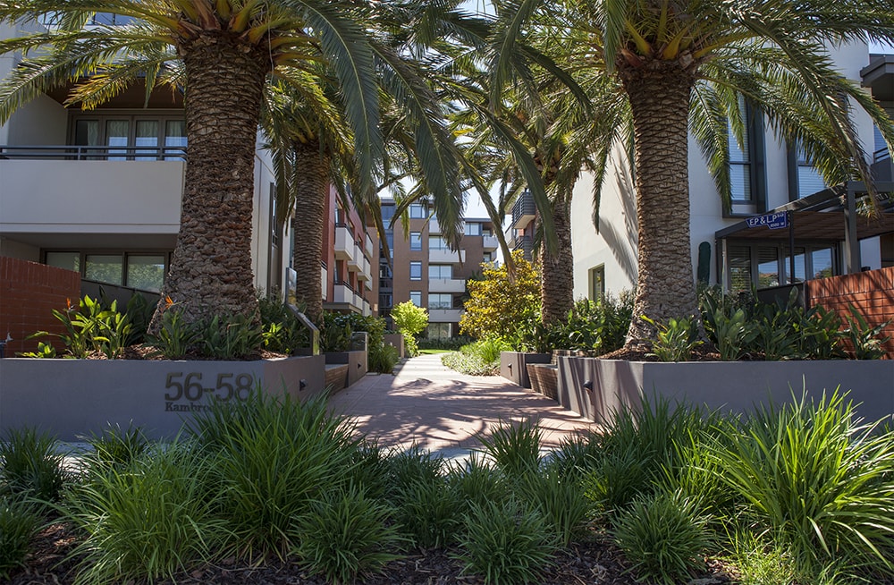 Caulfield Village - Australian Native Landscapes (ANL)