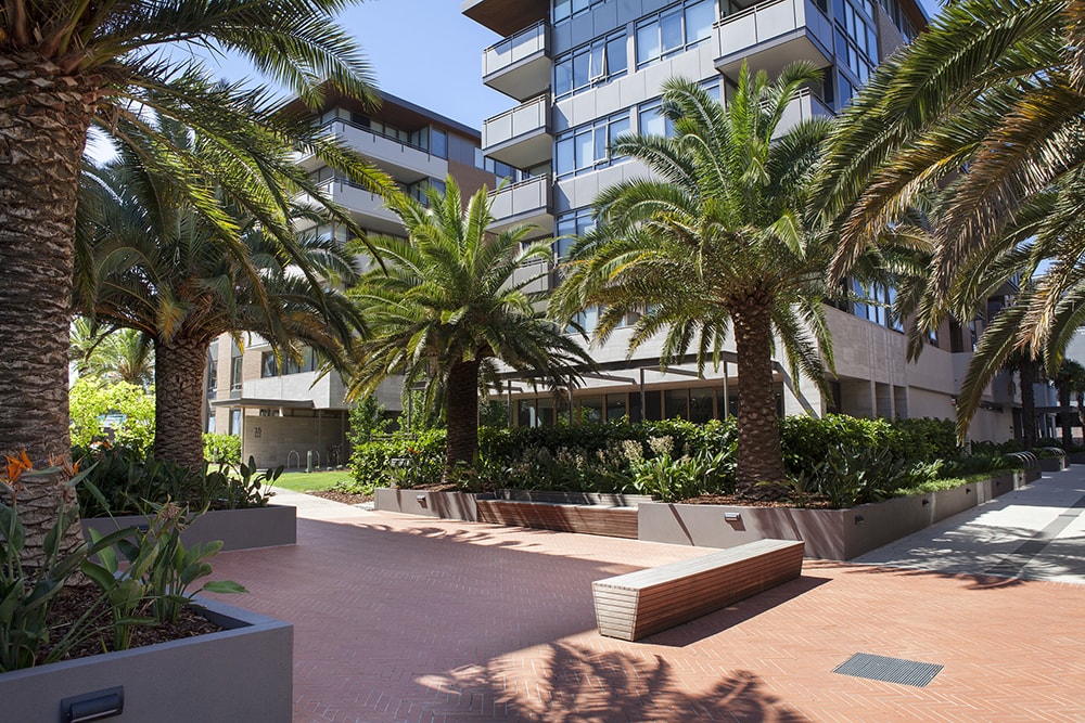 Caulfield Village - Australian Native Landscapes (ANL)