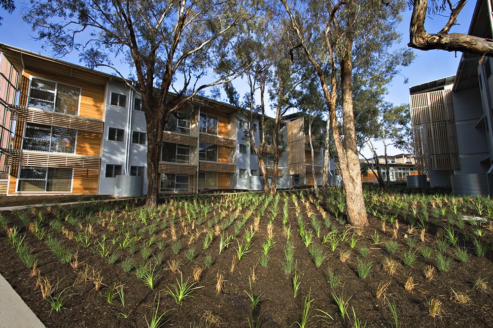 DFSS & Simpson Army Barracks - Australian Native Landscapes (ANL)