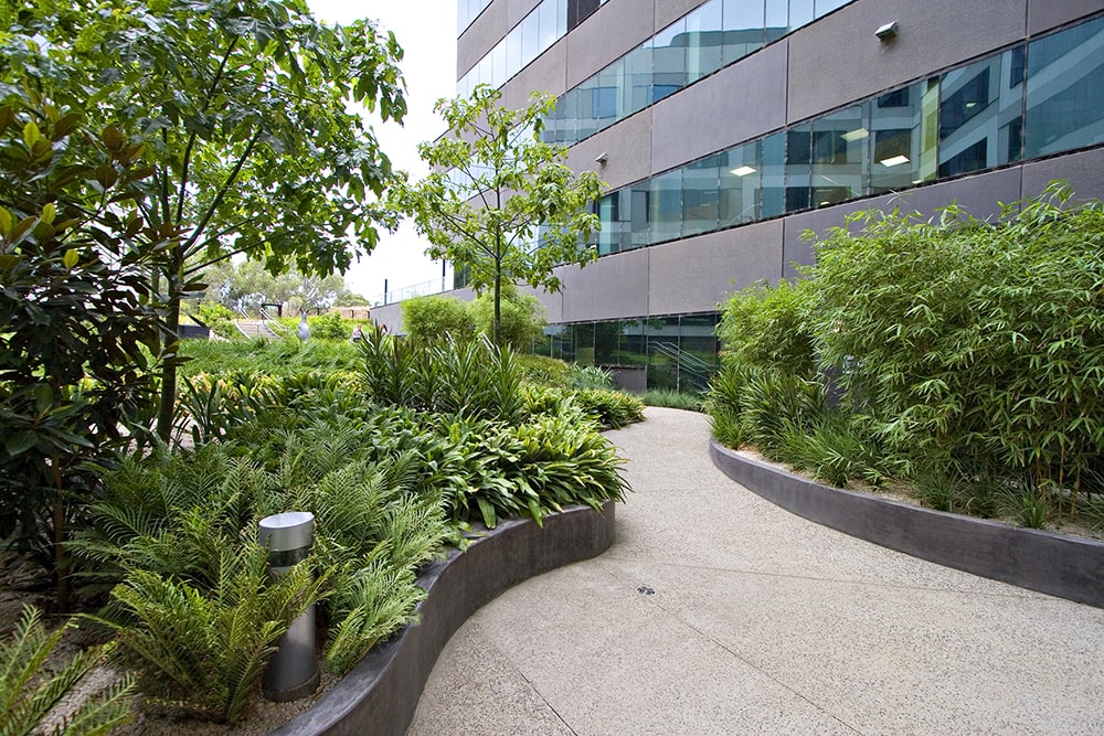 Landscaping - Australian Native Landscapes (ANL)