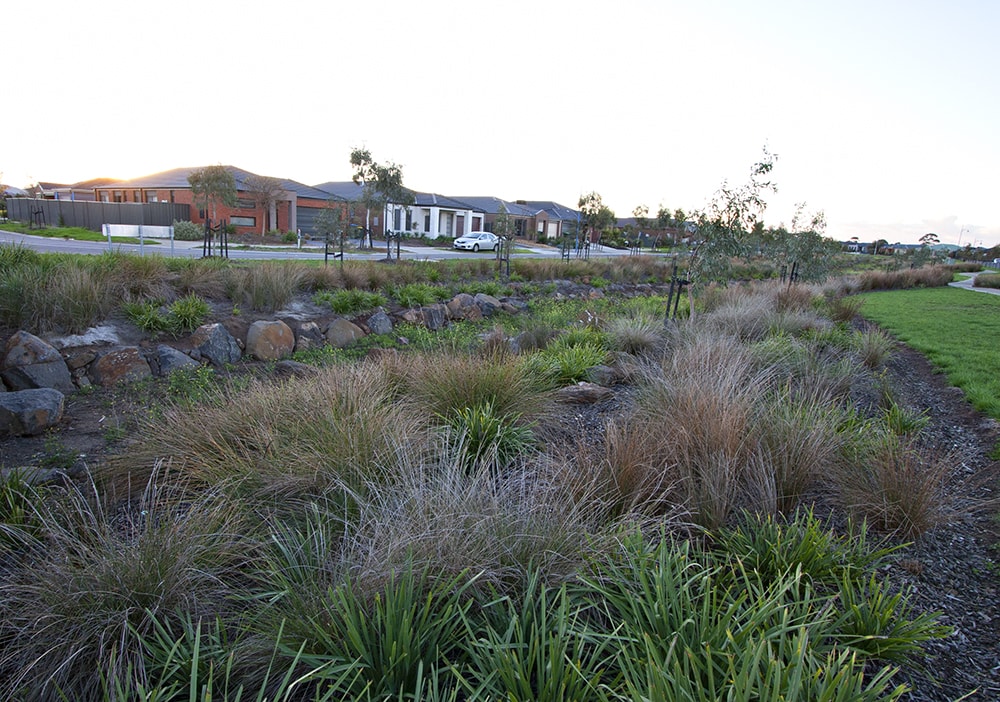 Manor Lakes Estate - Australian Native Landscapes (ANL)