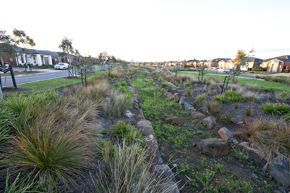 Manor Lakes Estate - Australian Native Landscapes (ANL)