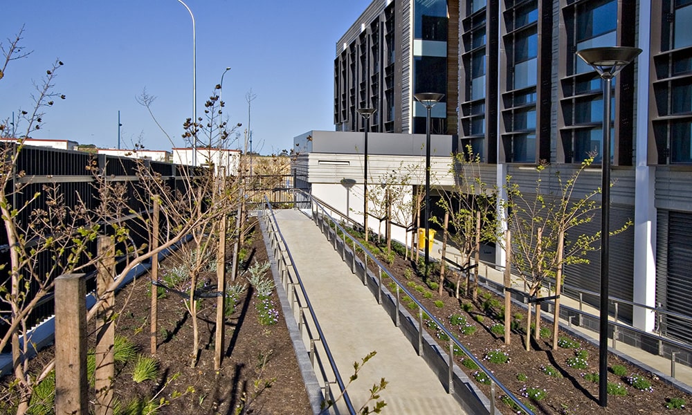Officer Town Centre - Australian Native Landscapes (ANL)