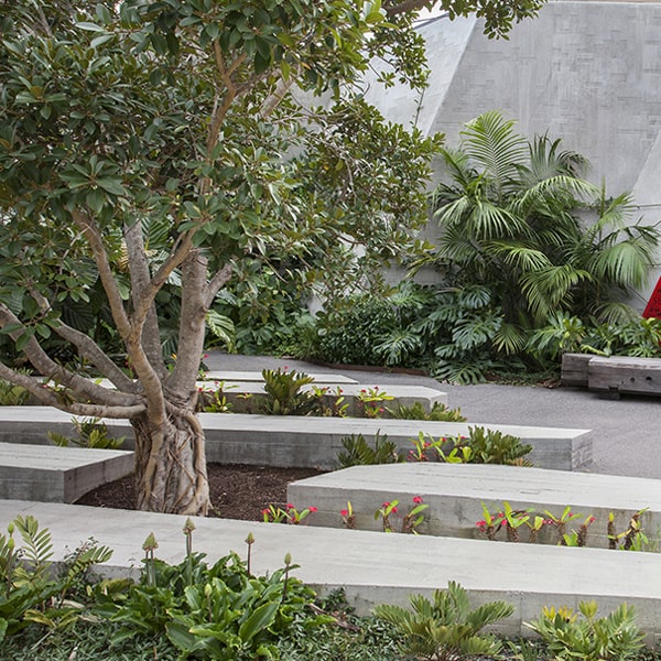 The Shrine of Remembrance - Australian Native Landscapes (ANL)