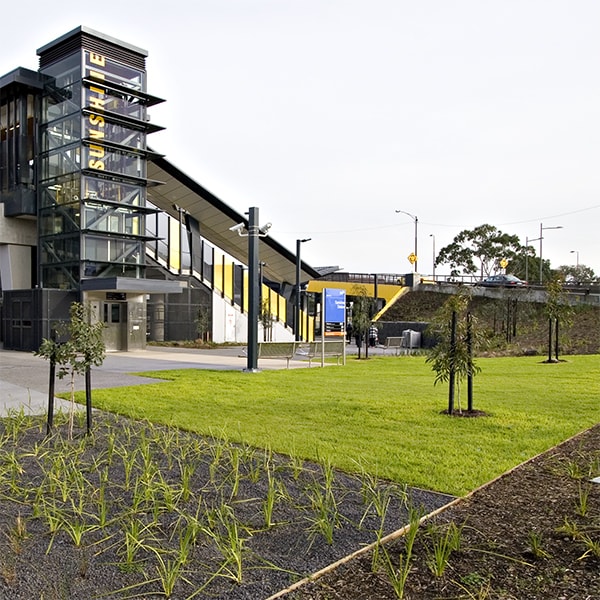 Sunshine Train Station - Australian Native Landscapes (ANL)